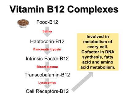 The Complexities of B12 Complexes – VDI Laboratory, LLC