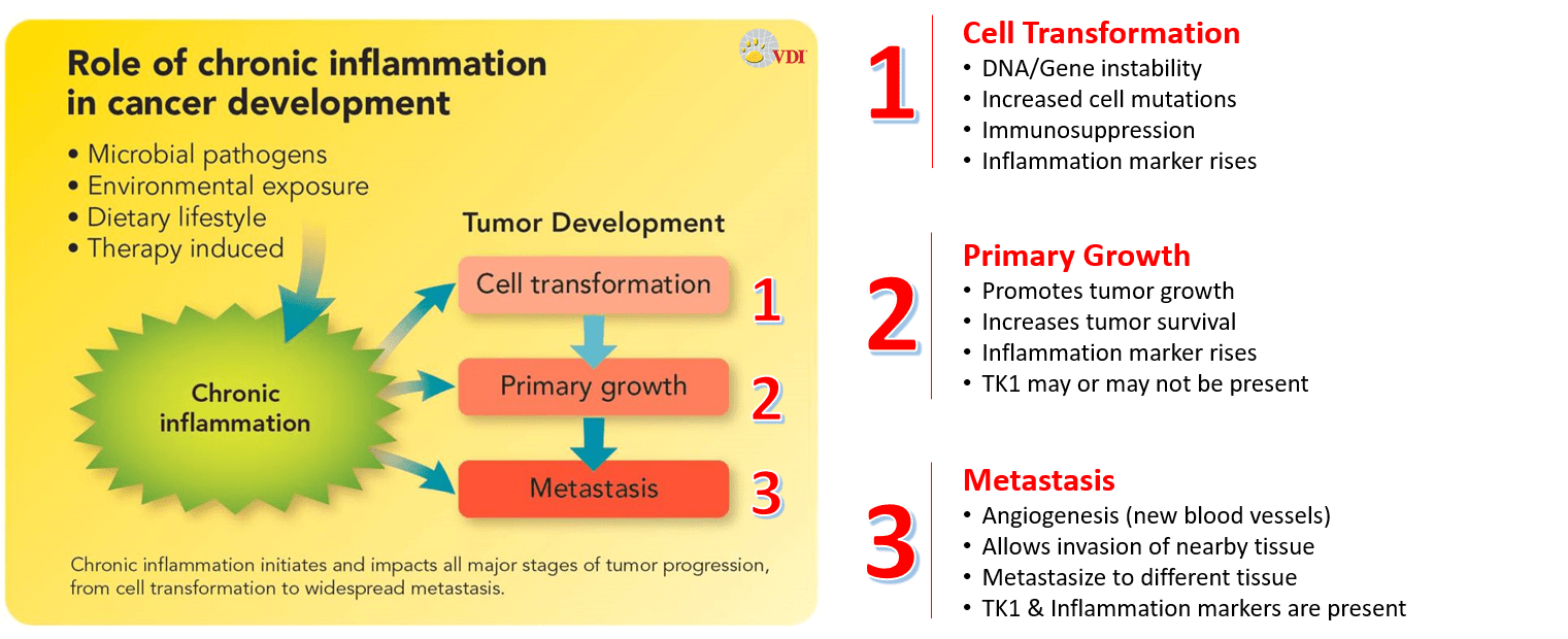 CANCER RISK ASSESSMENT™ – VDI Laboratory, LLC