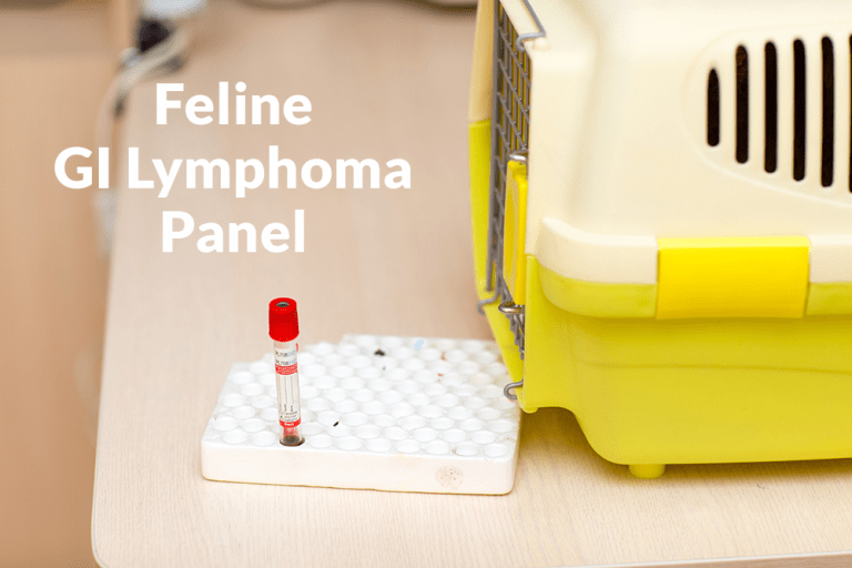 Lymphoma – VDI Laboratory, LLC