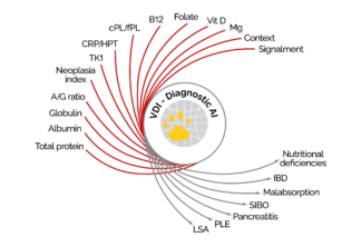 Advanced GI Panel – VDI Laboratory, LLC