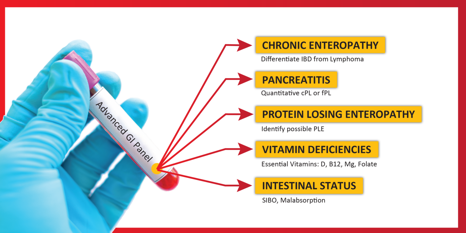 Advanced GI Panel – VDI Laboratory, LLC