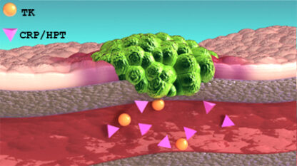 Cancer Monitoring – VDI Laboratory, LLC