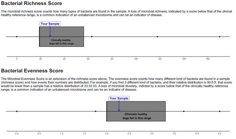 GI Microbiome Panel – VDI Laboratory, LLC
