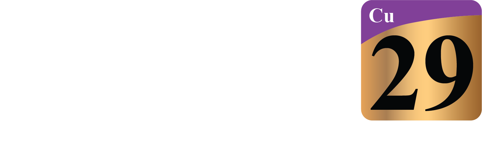 Project29 – VDI Laboratory, LLC