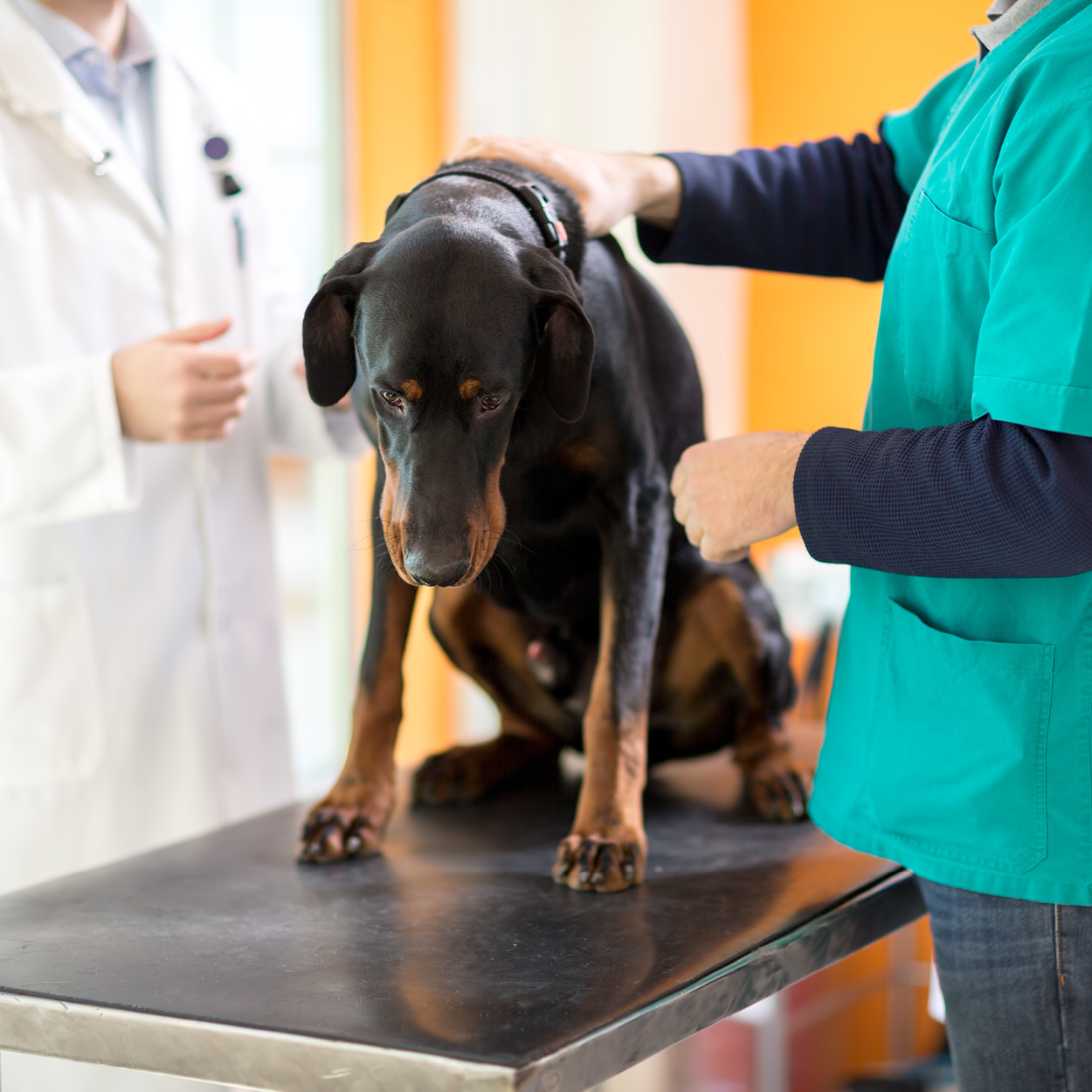 Cancer Diagnostics – VDI Laboratory, LLC