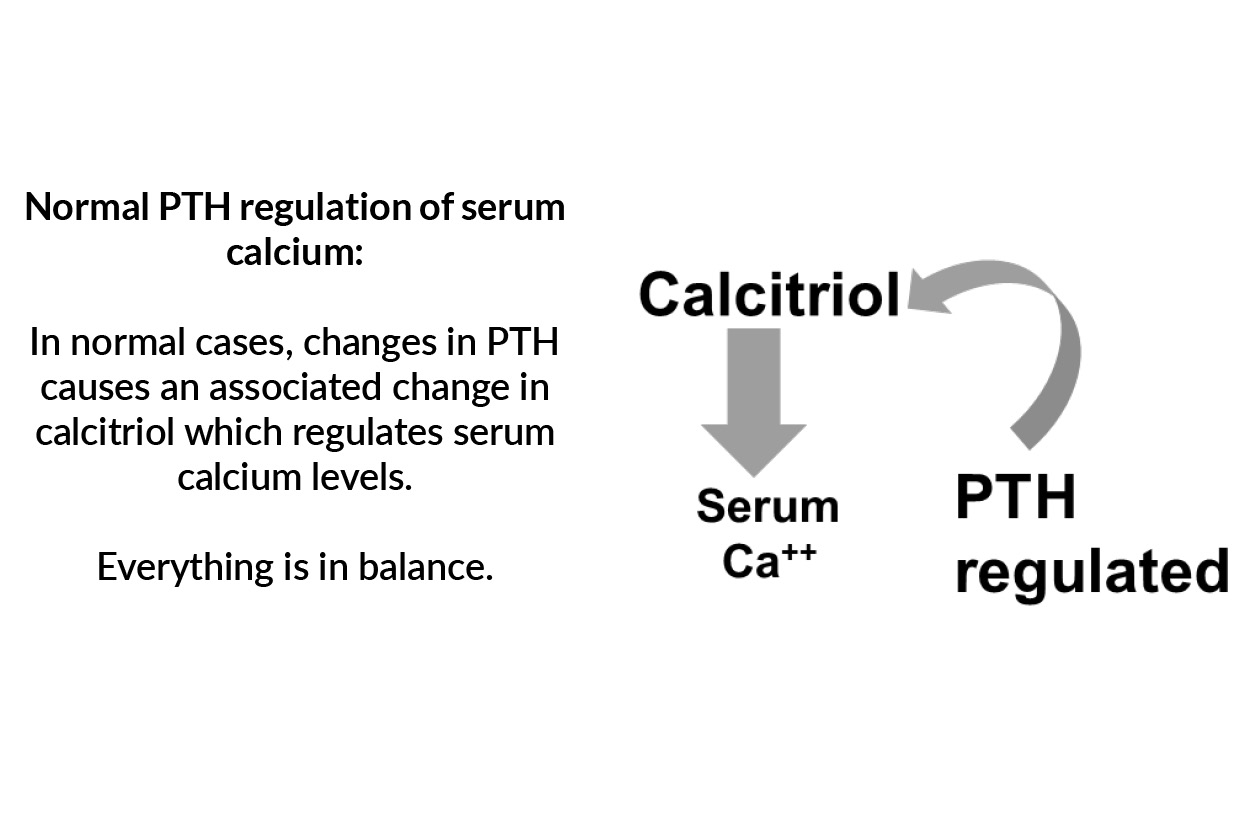 3 conditions identified by the VDI Calcemia Panel – VDI Laboratory, LLC