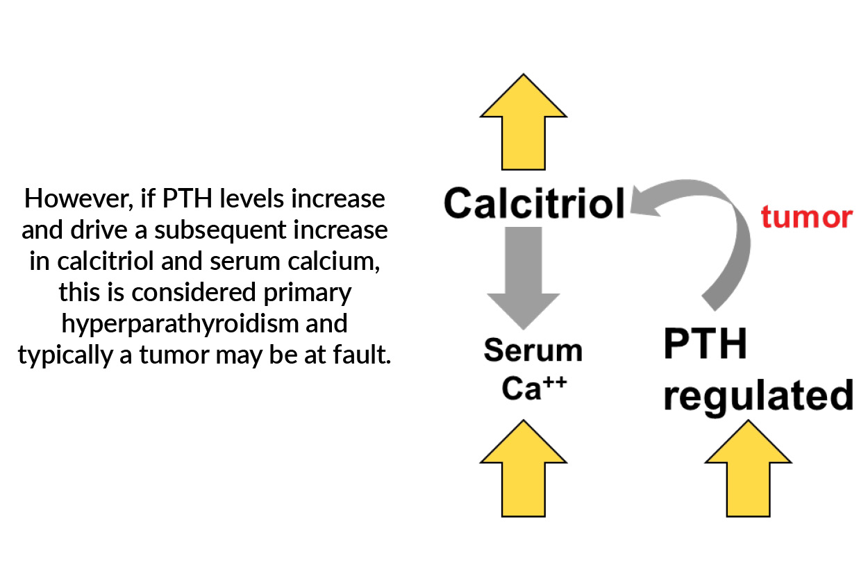 3 conditions identified by the VDI Calcemia Panel – VDI Laboratory, LLC