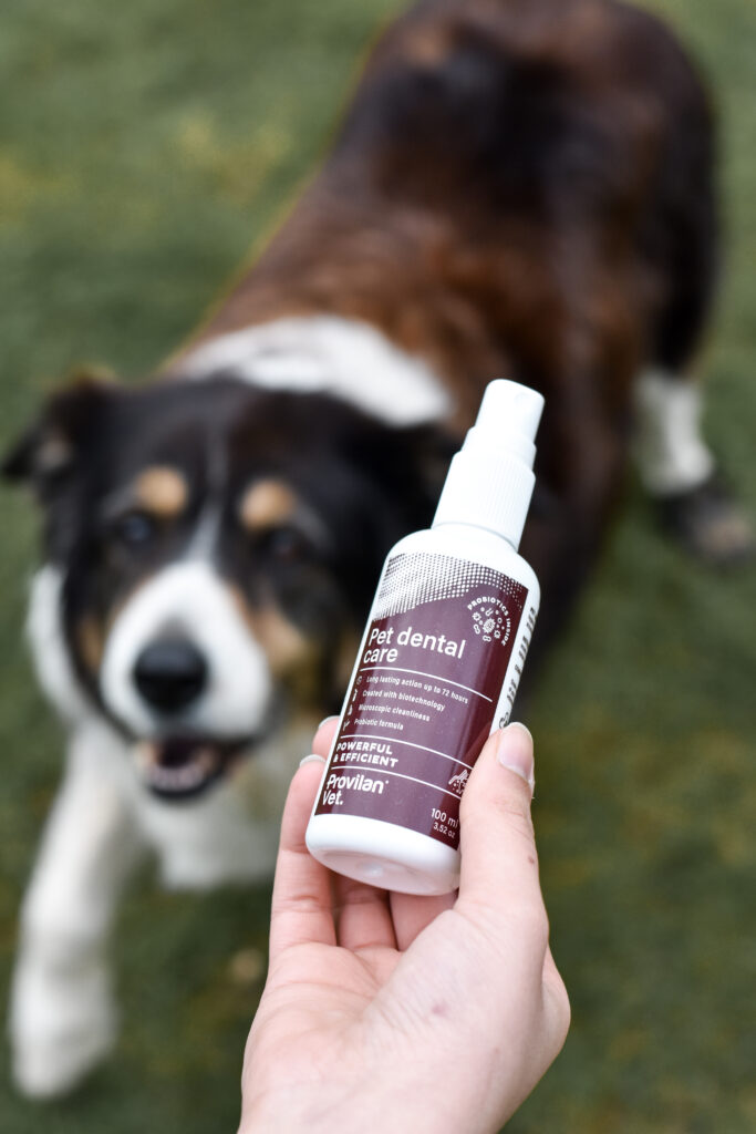 Dental Care – Probiotic Spray – VDI Laboratory, LLC