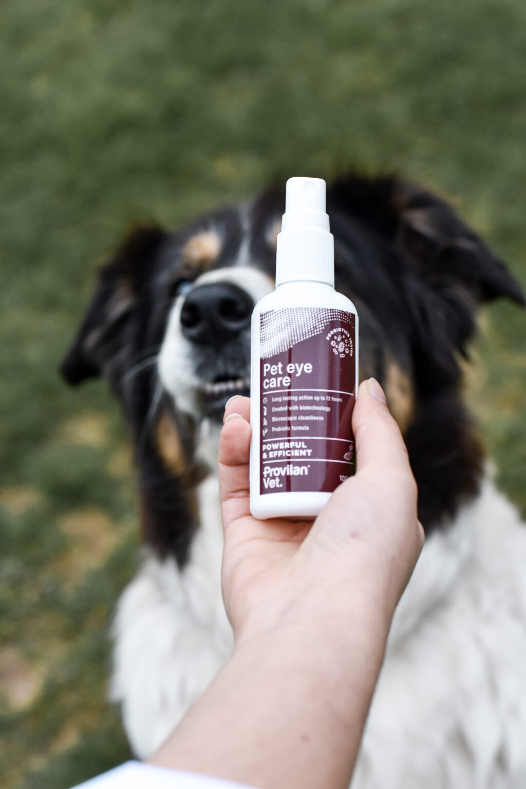 Eye Care – Probiotic Spray – VDI Laboratory, LLC