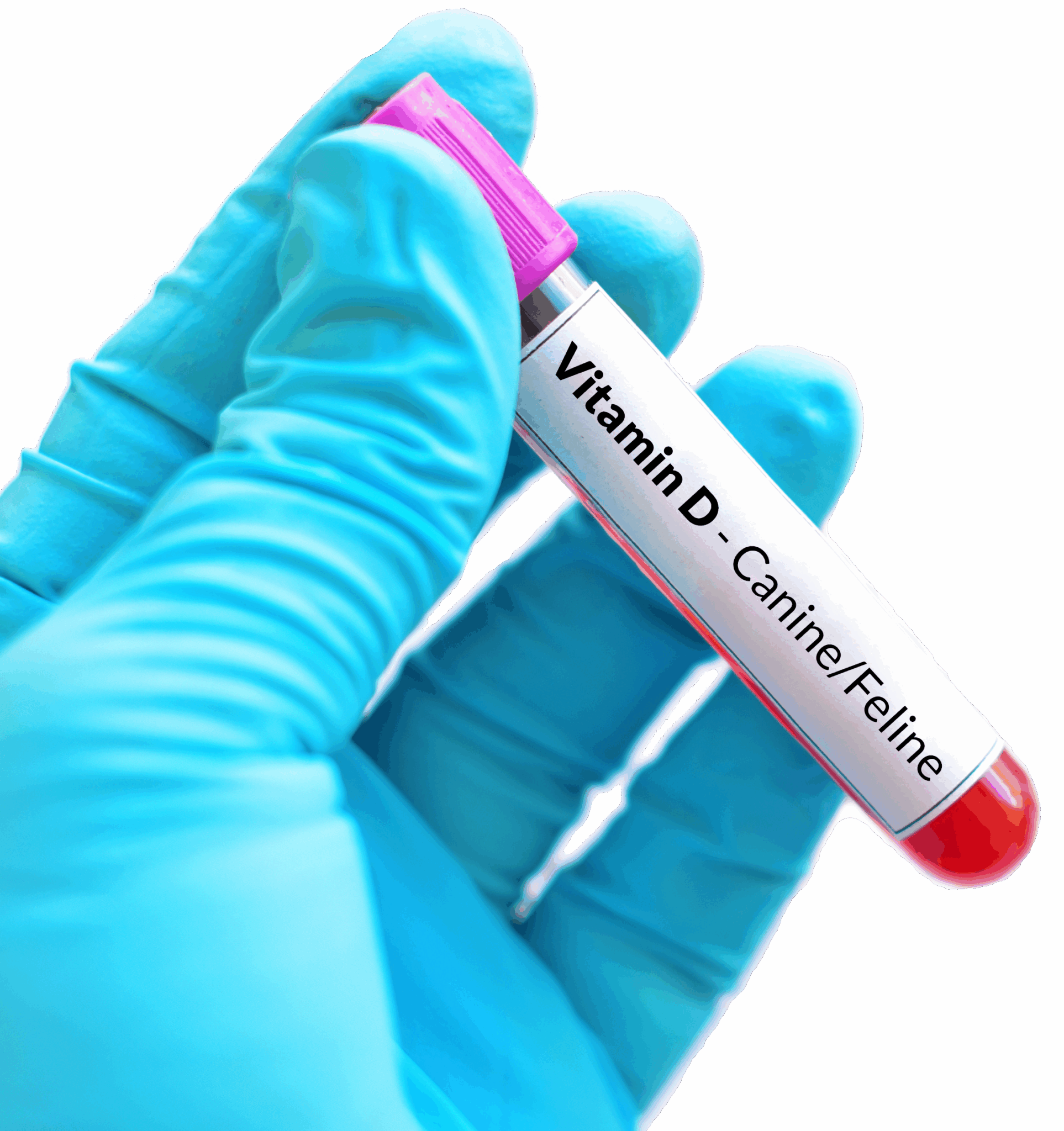 Nutritional Testing – VDI Laboratory, LLC